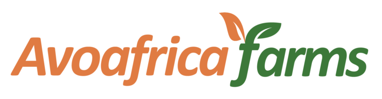 Muhammad Muaaz`s Site – From Africa to the World