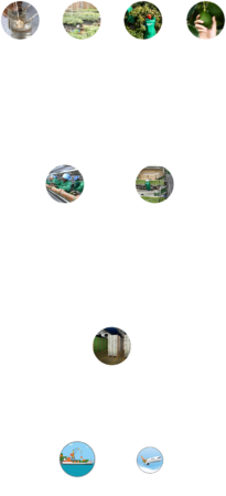 Keitt's Ways – From Africa to the World