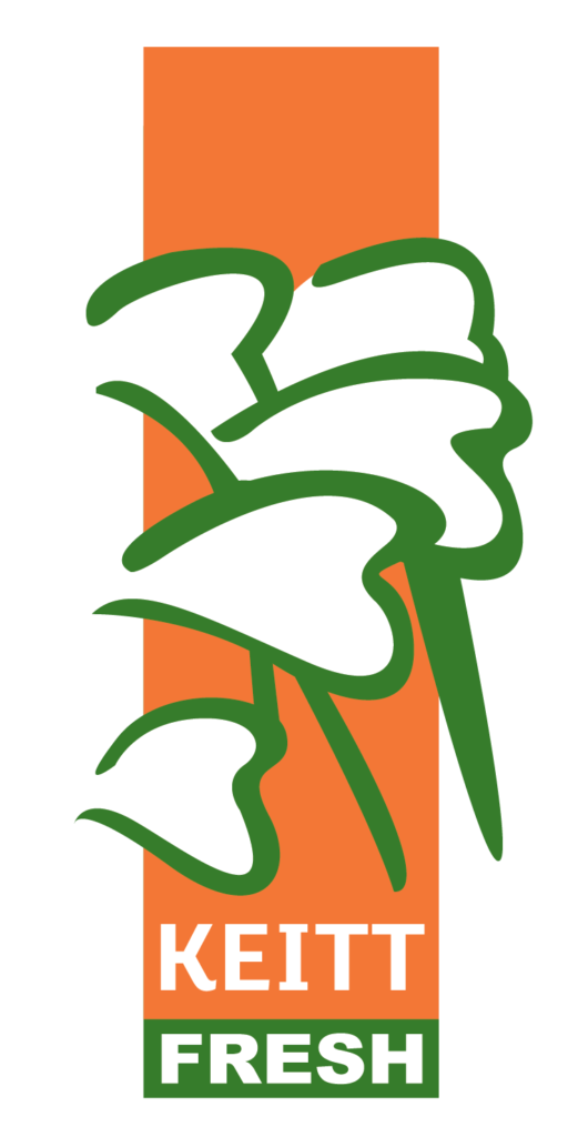 Muhammad Muaaz`s Site – From Africa to the World